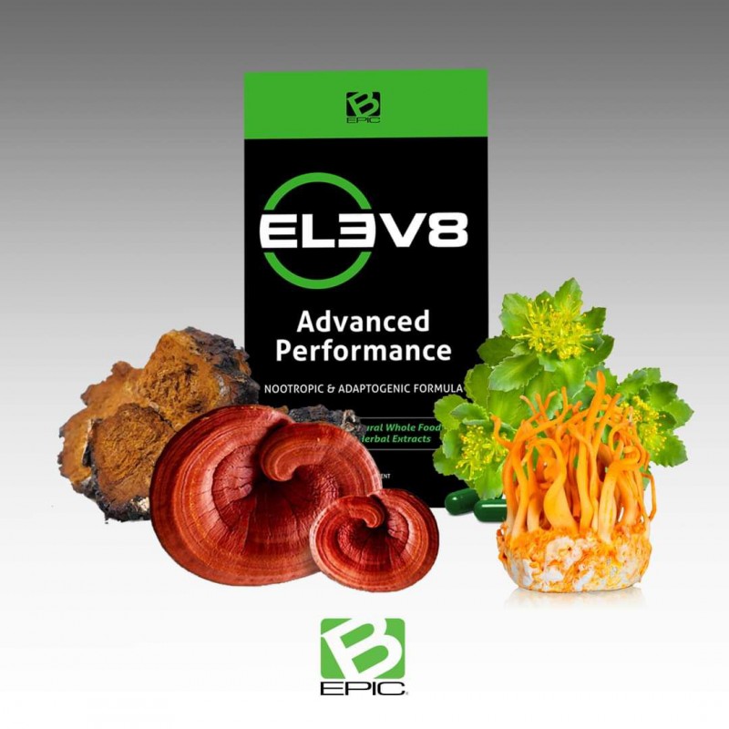 Elev8™ - Renforcez Votre Vitalité et Votre Clarté d'Esprit avec B-Epic